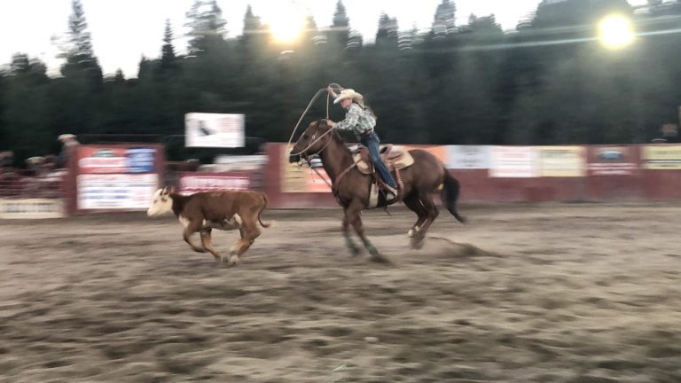 Gallery – West Yellowstone Rodeo