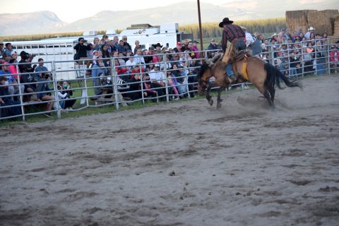 Gallery – West Yellowstone Rodeo