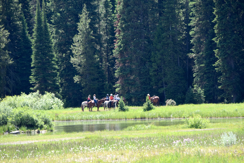 Creekside Trail Rides | West Yellowstone Rodeo