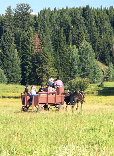Creekside Trail Rides | West Yellowstone Rodeo