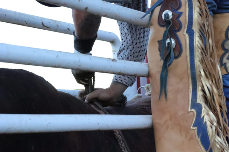 Gallery – West Yellowstone Rodeo