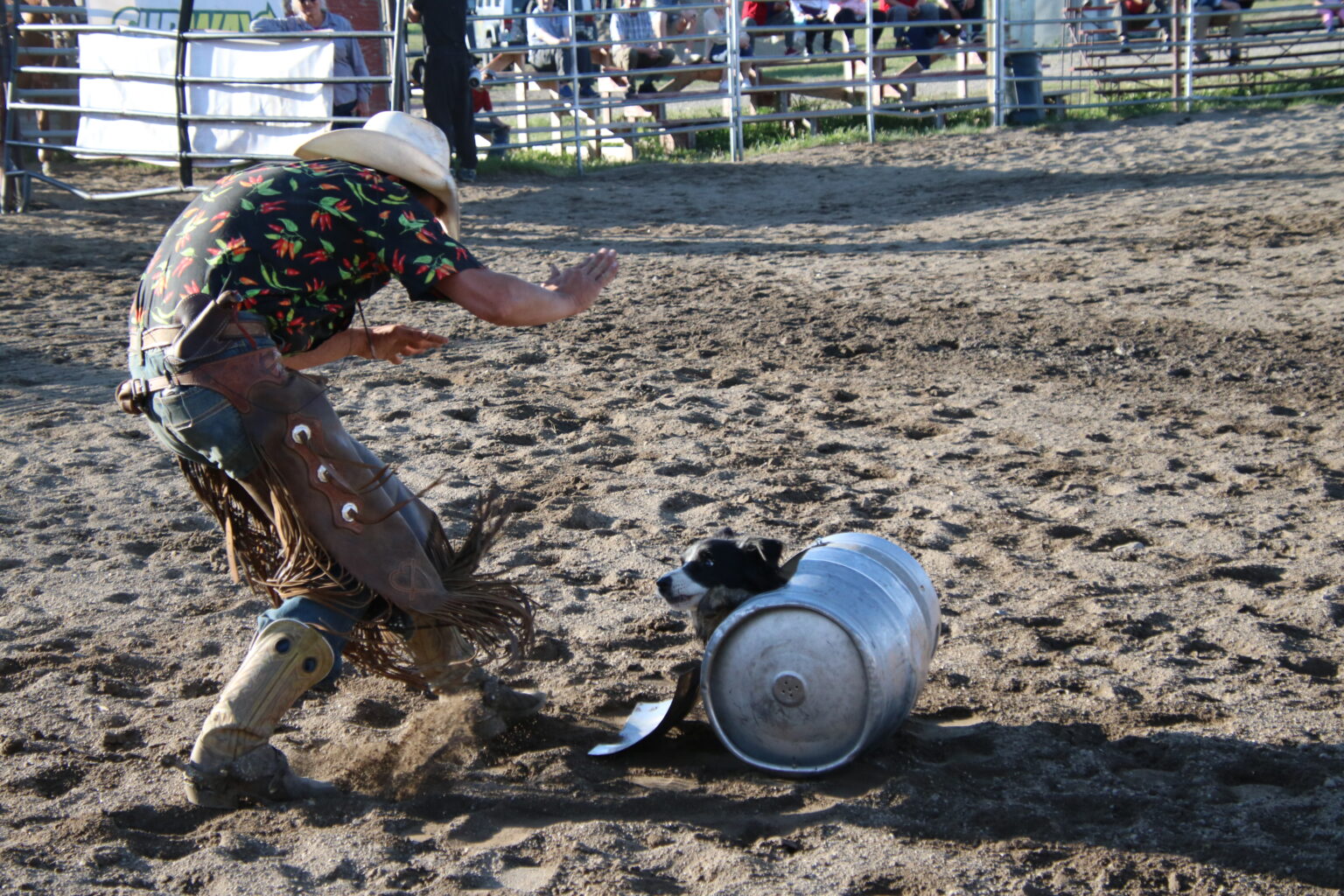 Gallery – West Yellowstone Rodeo