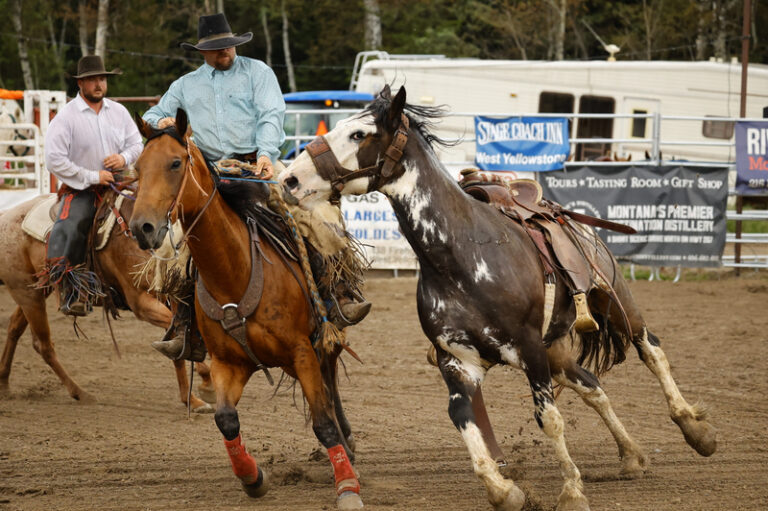 Gallery – West Yellowstone Rodeo