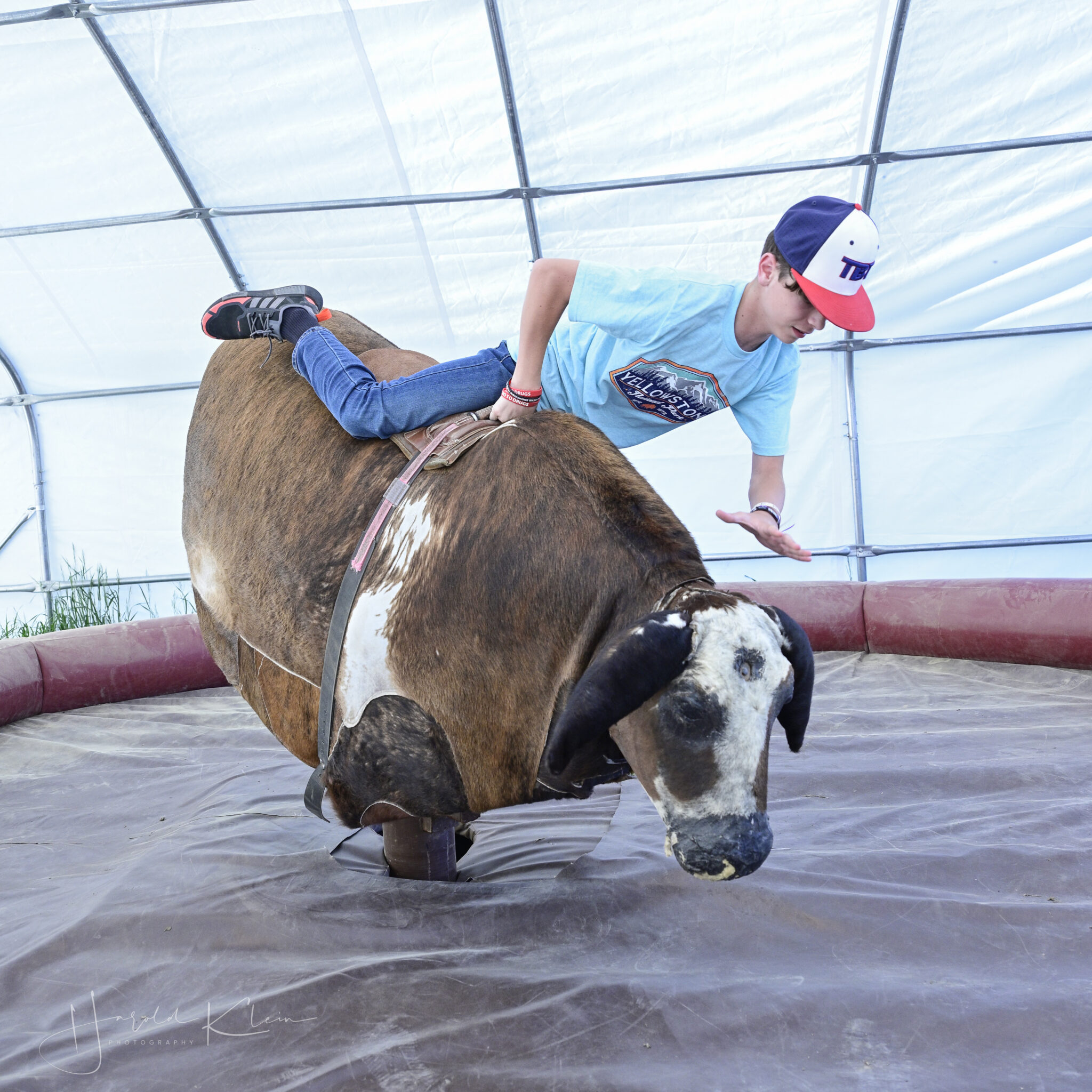 Gallery – West Yellowstone Rodeo